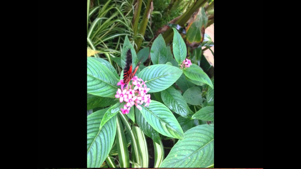 PICTURES AT AN EXHIBITION- BY JEREMY HOLTOM - YouTube