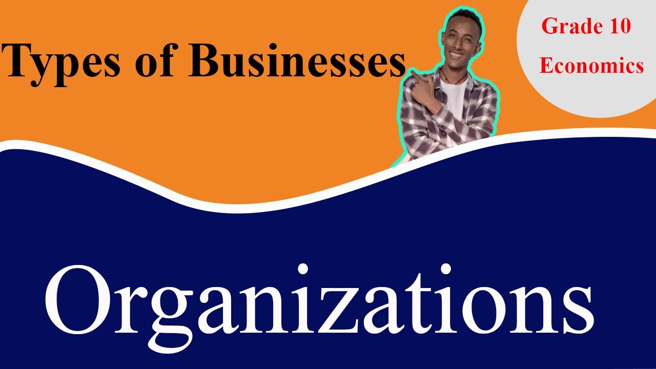 Economics Grade 10 new Curriculum Types of Businesses Organizations ...