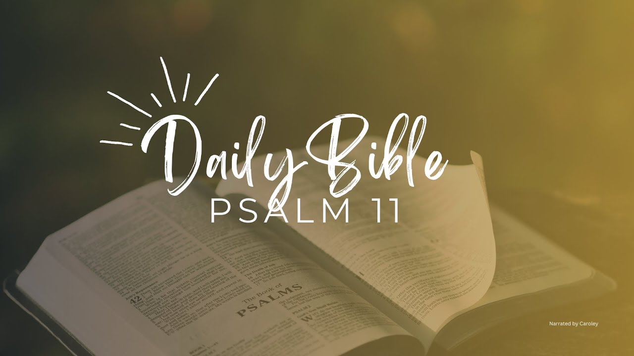 DAILY BIBLE READING | DAILY SCRIPTURE READING | DAILY CHRISTIAN ...