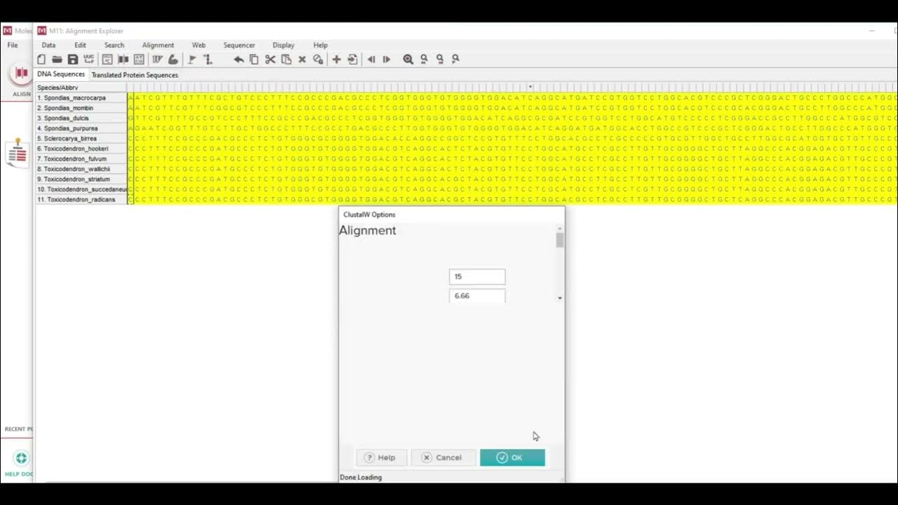 MEGA 11| Clustal W| sequence alignment| Phylogeny| Bioinformatics. - YouTube