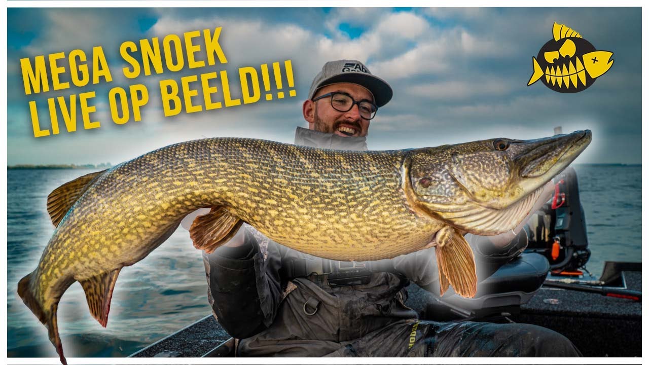 Wij Vangen De GROOTSTE SNOEK OOIT Live Op Camera - Het Magische ...