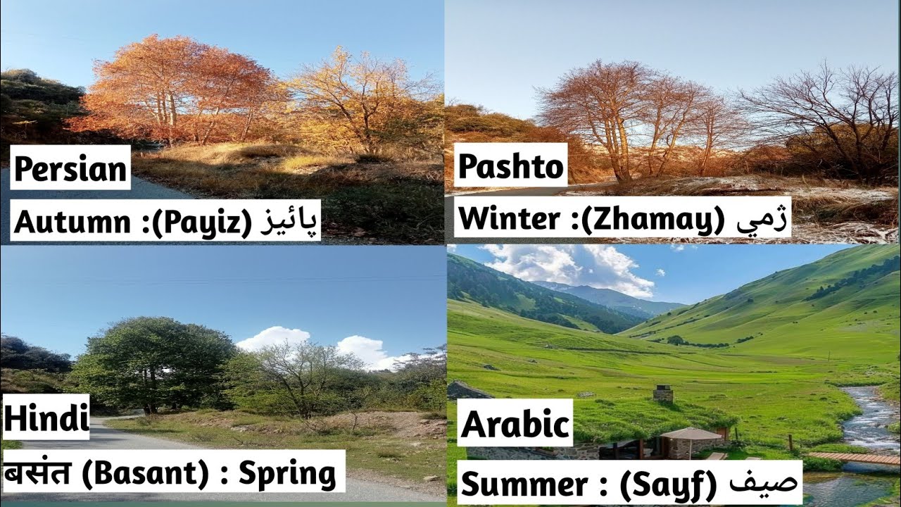 4 seasons names in English, Arabic, Hindi, Persian and Pashto. - YouTube