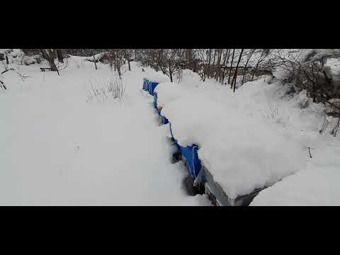 Arıcılığa Yeni Başlayacaklara Küçük Tavsiyeler