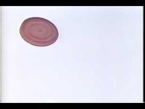 Original Frisbee Commercial - YouTube