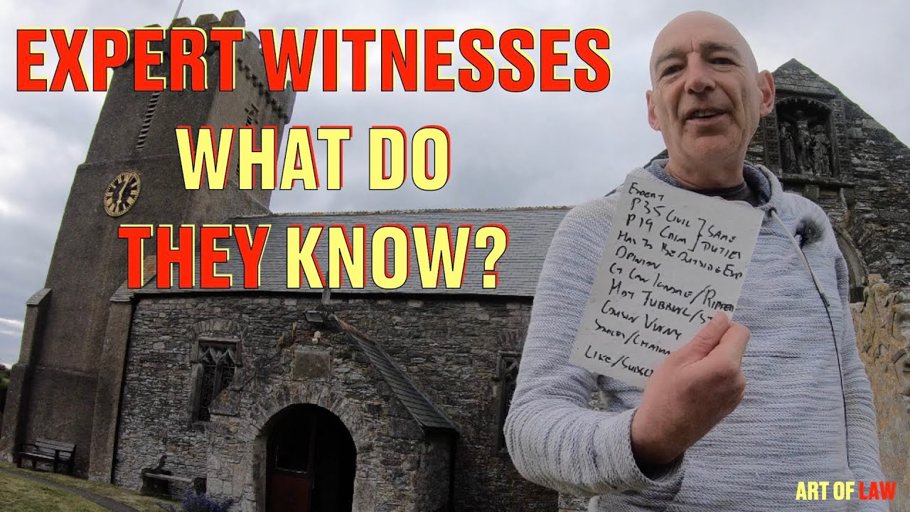 The role of Expert Witnesses. Who IS an expert; and what exactly are ...