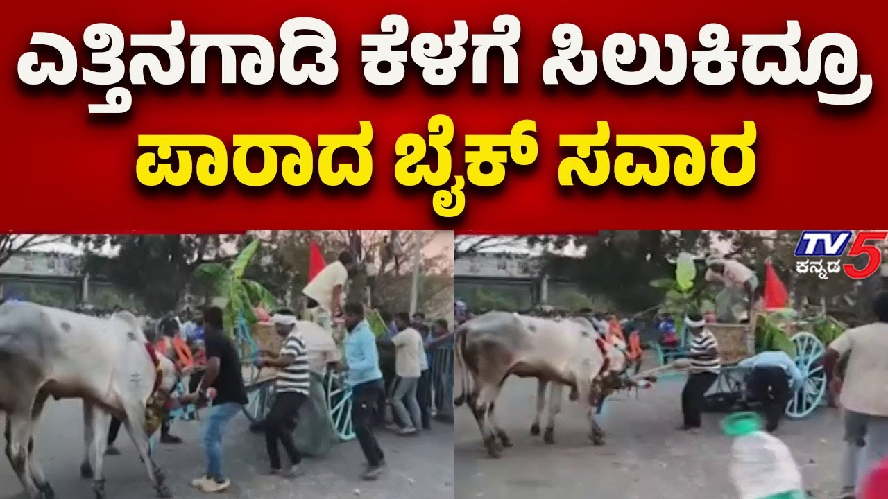 Tarikere, Chikmagalur: ಎತ್ತಿನಗಾಡಿ ಕೆಳಗೆ ಸಿಲುಕಿದ್ರೂ ಪಾರಾದ ಬೈಕ್ ಸವಾರ ...
