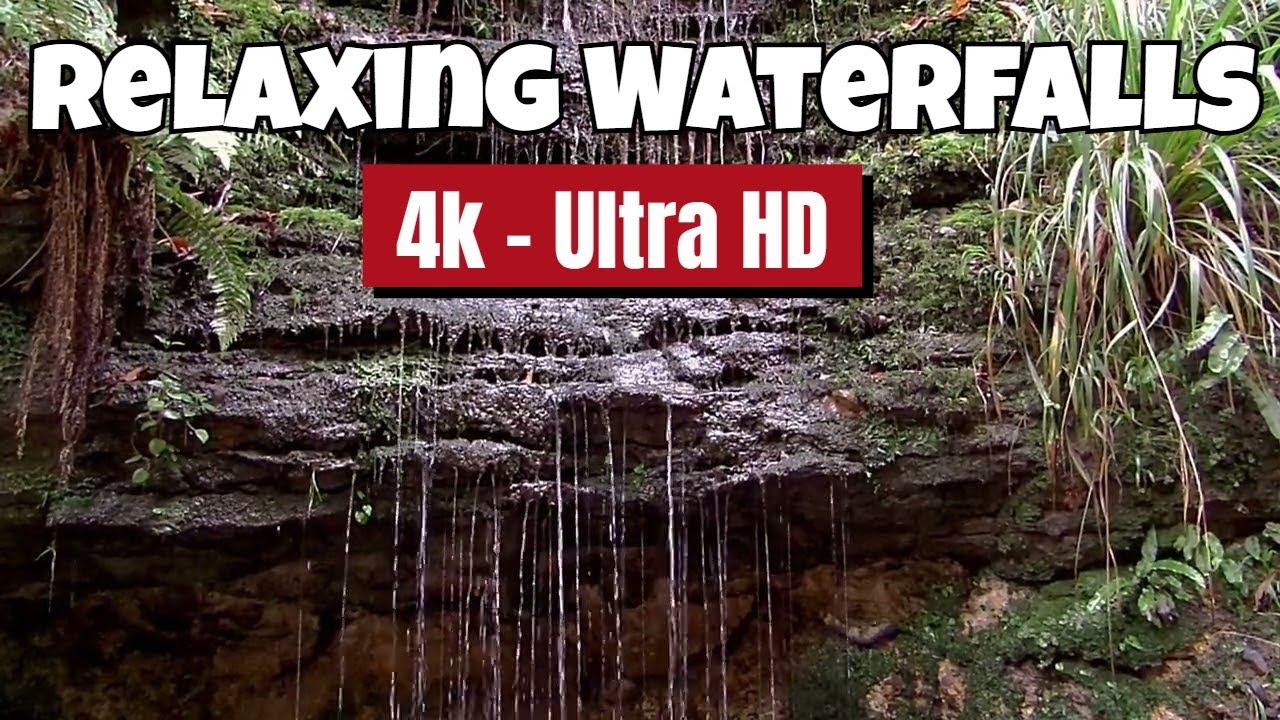 4K 1hour Soothing waterfalls to help you sleep, Coronation wood ...