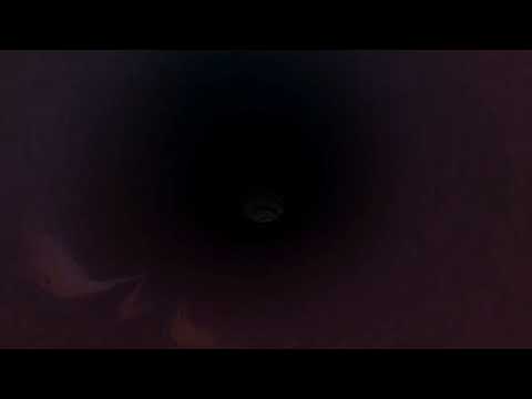 Loona Swallow you pov vore animation