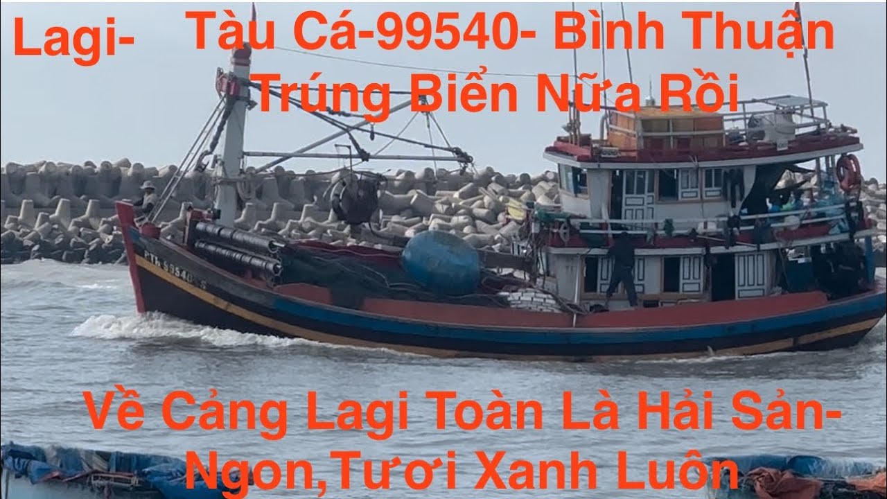 Lagi: Tàu Cá (99540) Bình Thuận Trúng Biển Nữa Về Cảng Lagi Toàn Là Hải ...
