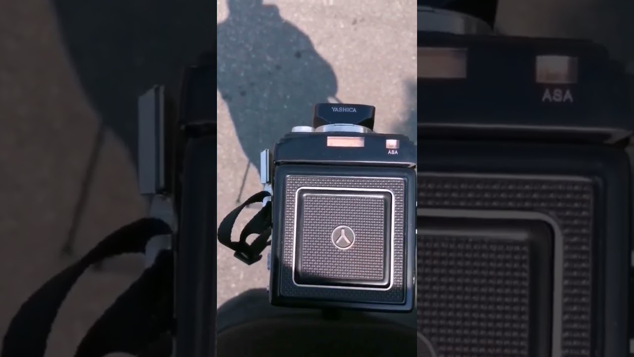 Medium Format film photography, Yashica Mat 124.