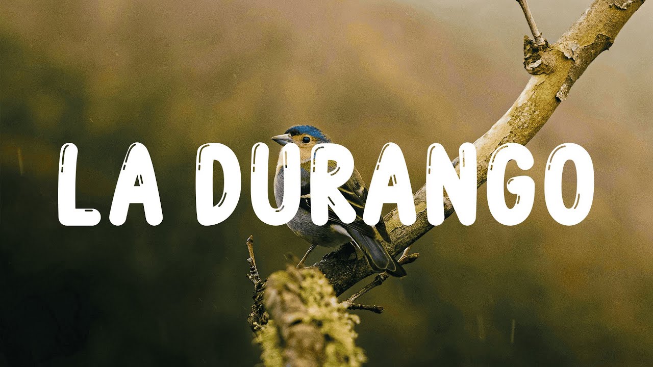 Peso Pluma, Junior H, Eslabón Armado - La Durango (Letra) - YouTube