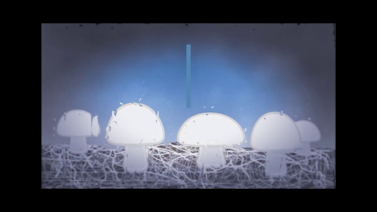 Mushroom Cultivation Process - YouTube