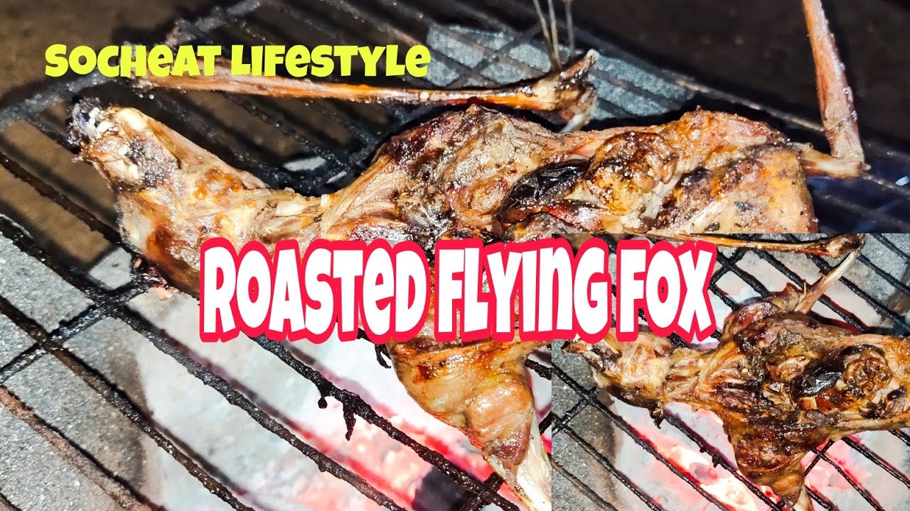 Roasted flying fox very delicious, flying fox, Socheat Lifestyle ...