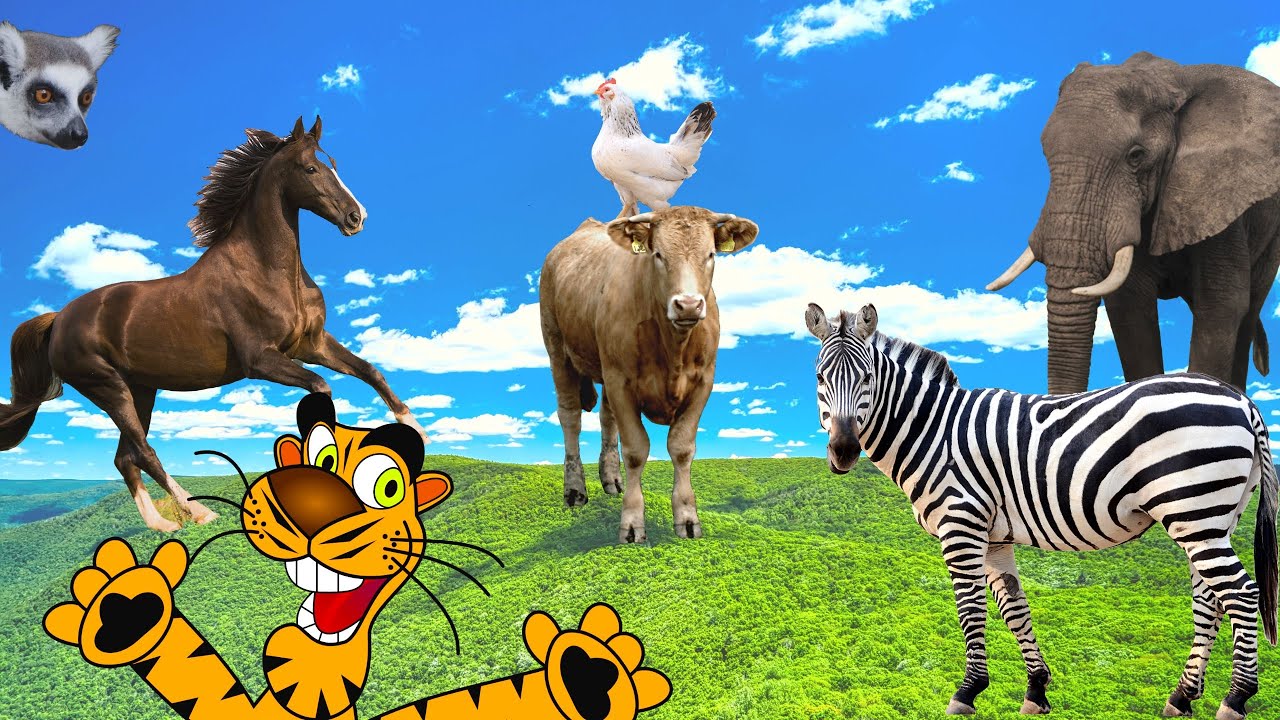 Cute Animal Sounds: Cat, Dog, Duck, Cow, Horse and more | 4 - YouTube