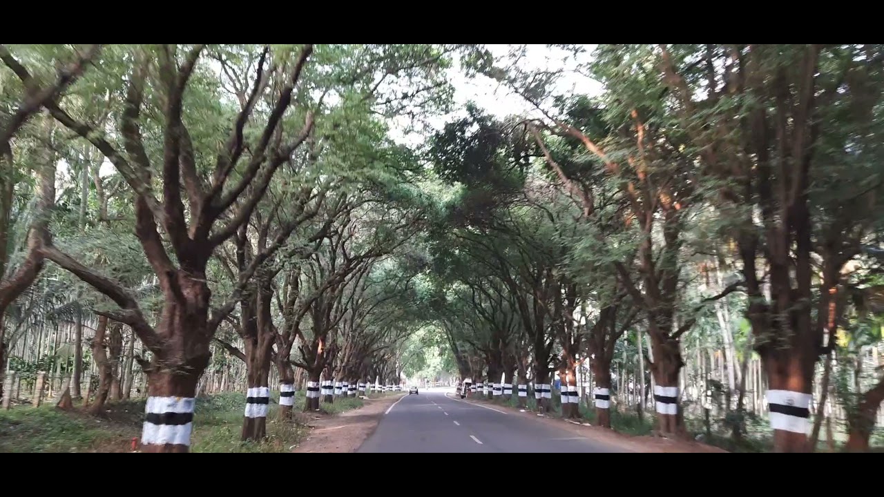 Pollachi - sethumadai 💫 #pollachi #nature #road #pollachi # - YouTube