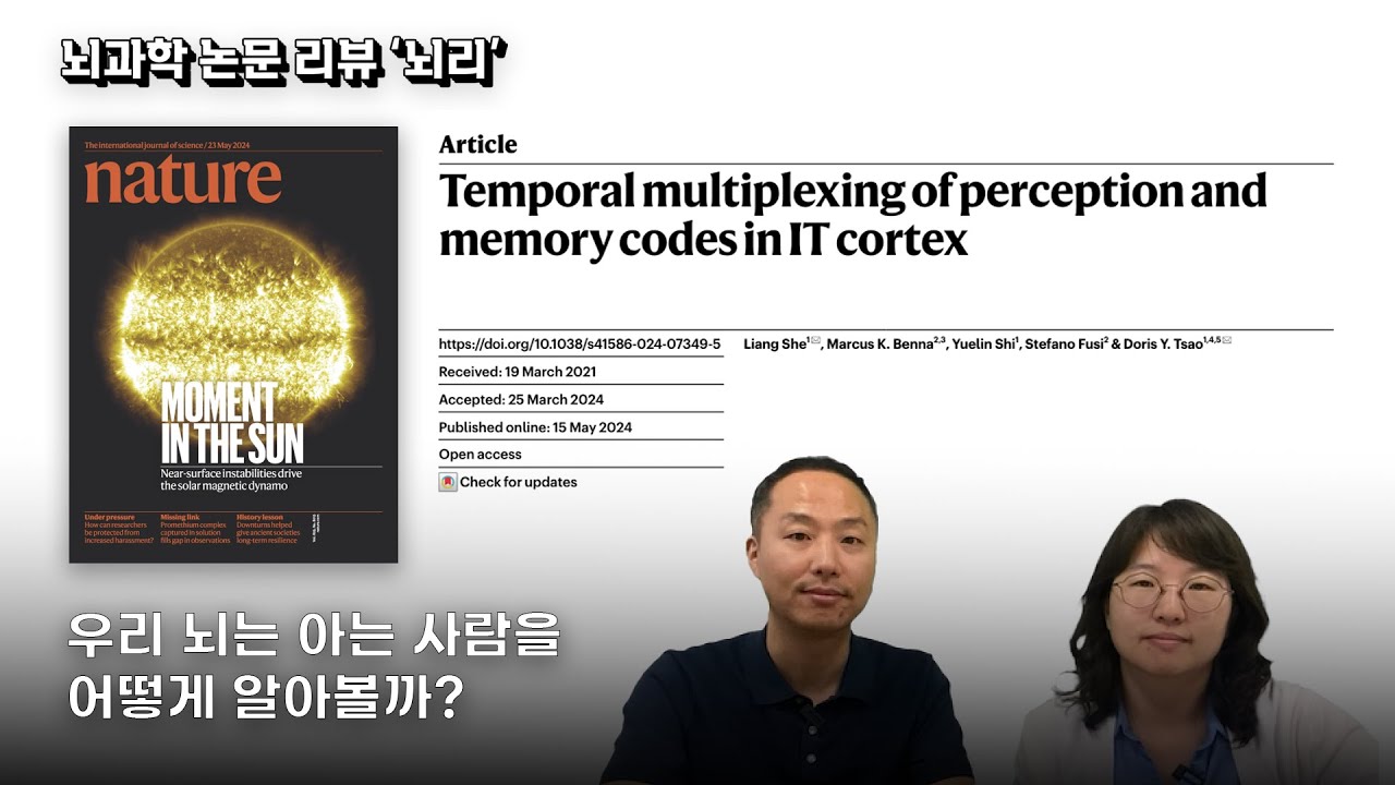 뇌과학 리뷰 "뇌리" Temporal multiplexing of perception andmemory codes in IT cortex - YouTube