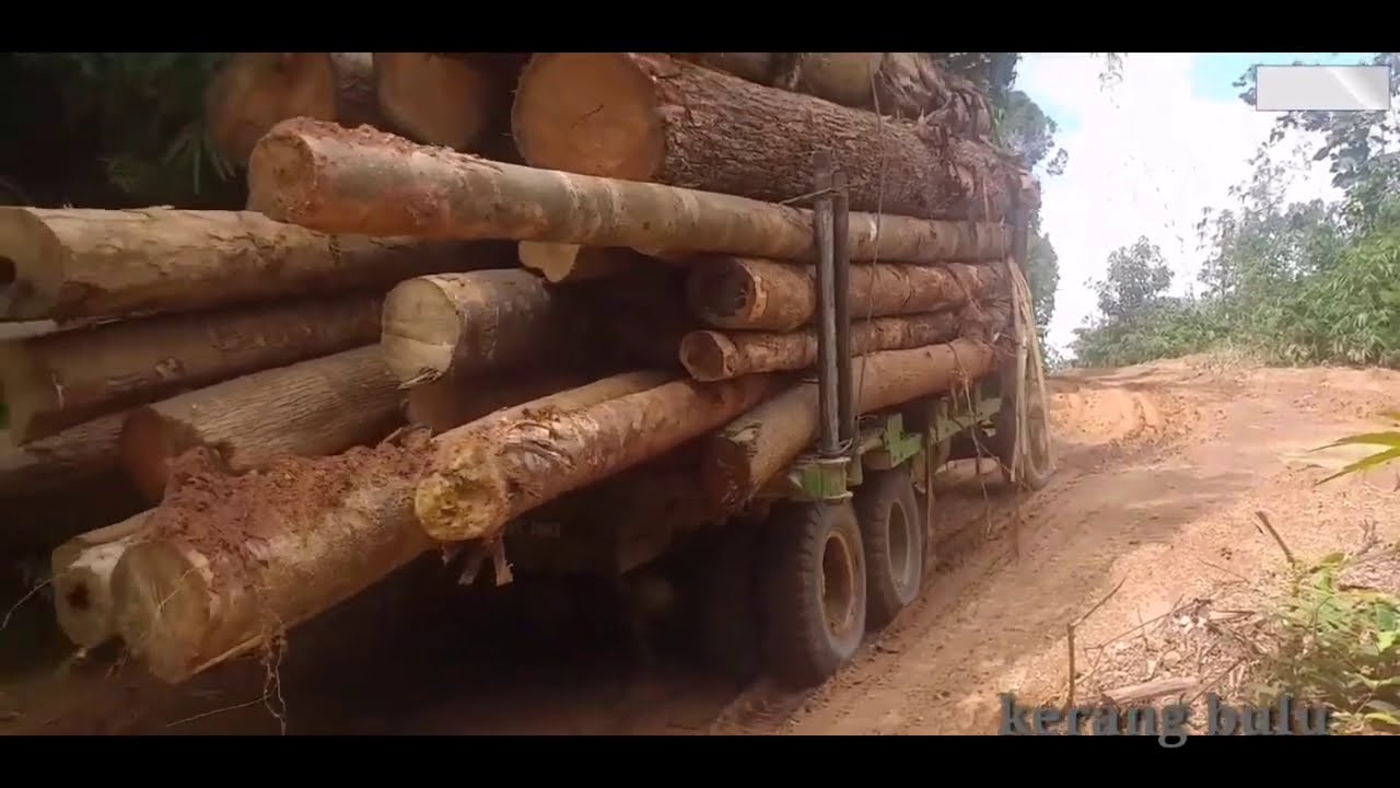 Extreme Wet And Muddy Logging Road. - YouTube
