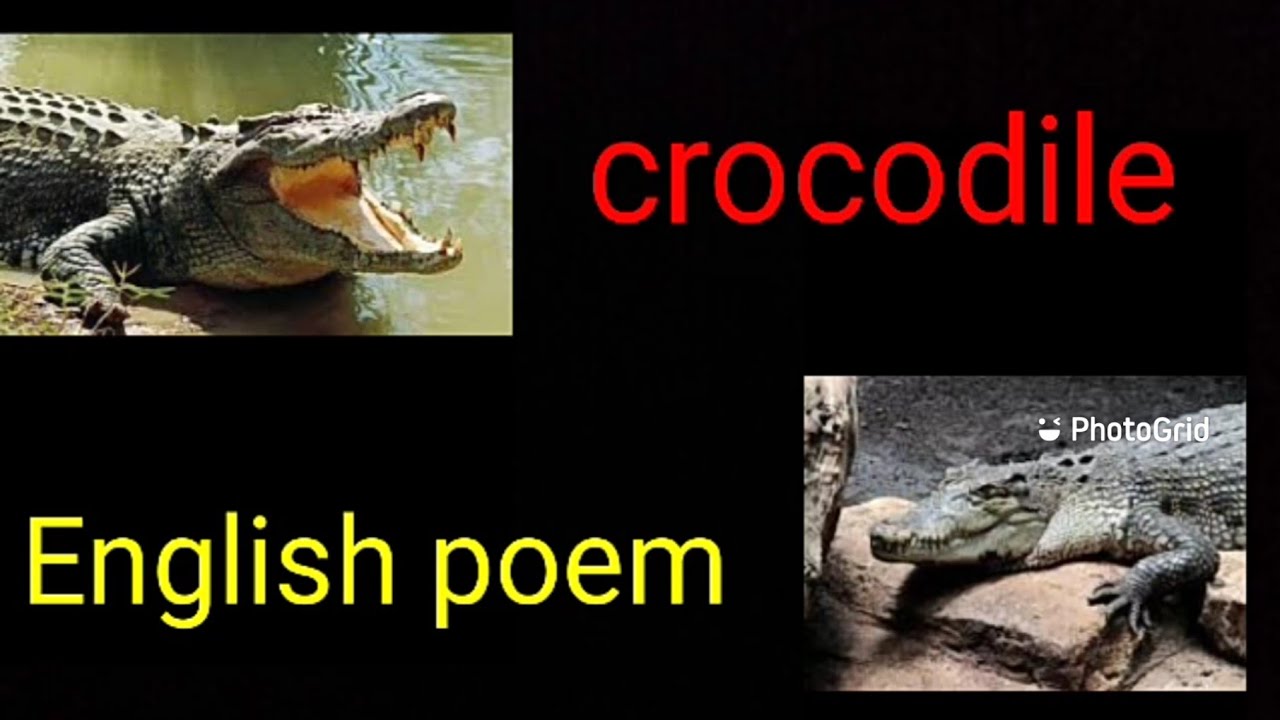 6th standard term 1 crocodile English poem - YouTube