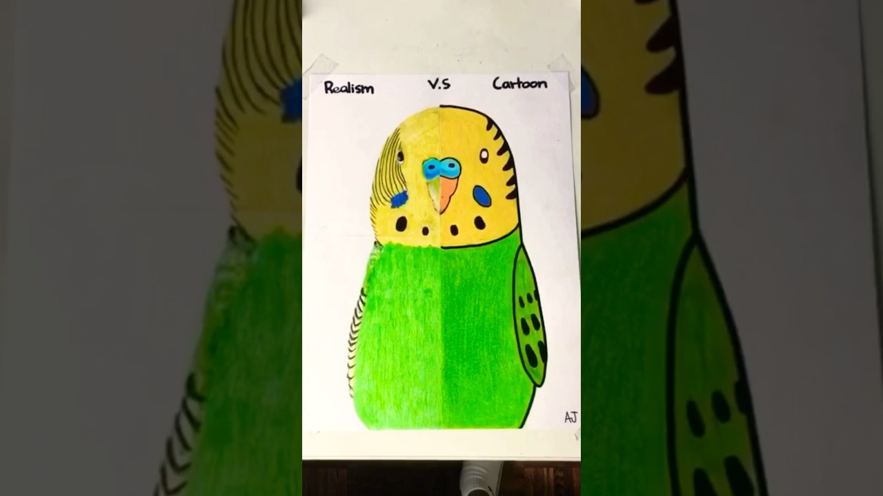 Drawing my bird Yoshi *realistic* part 2 - YouTube