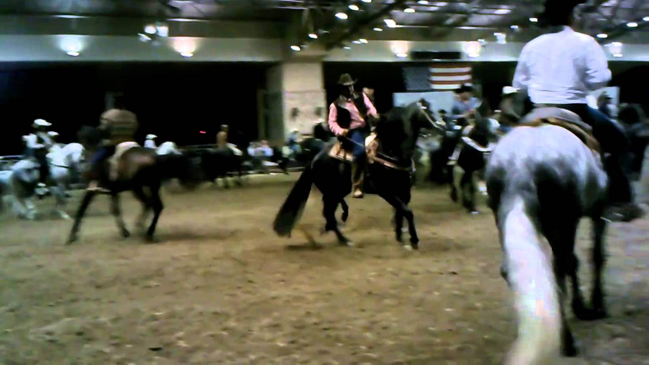 Caballos Bailando(: Feria del Caballo Espanol 2013 - YouTube