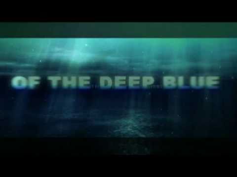 FINS The Movie- Trailer - YouTube