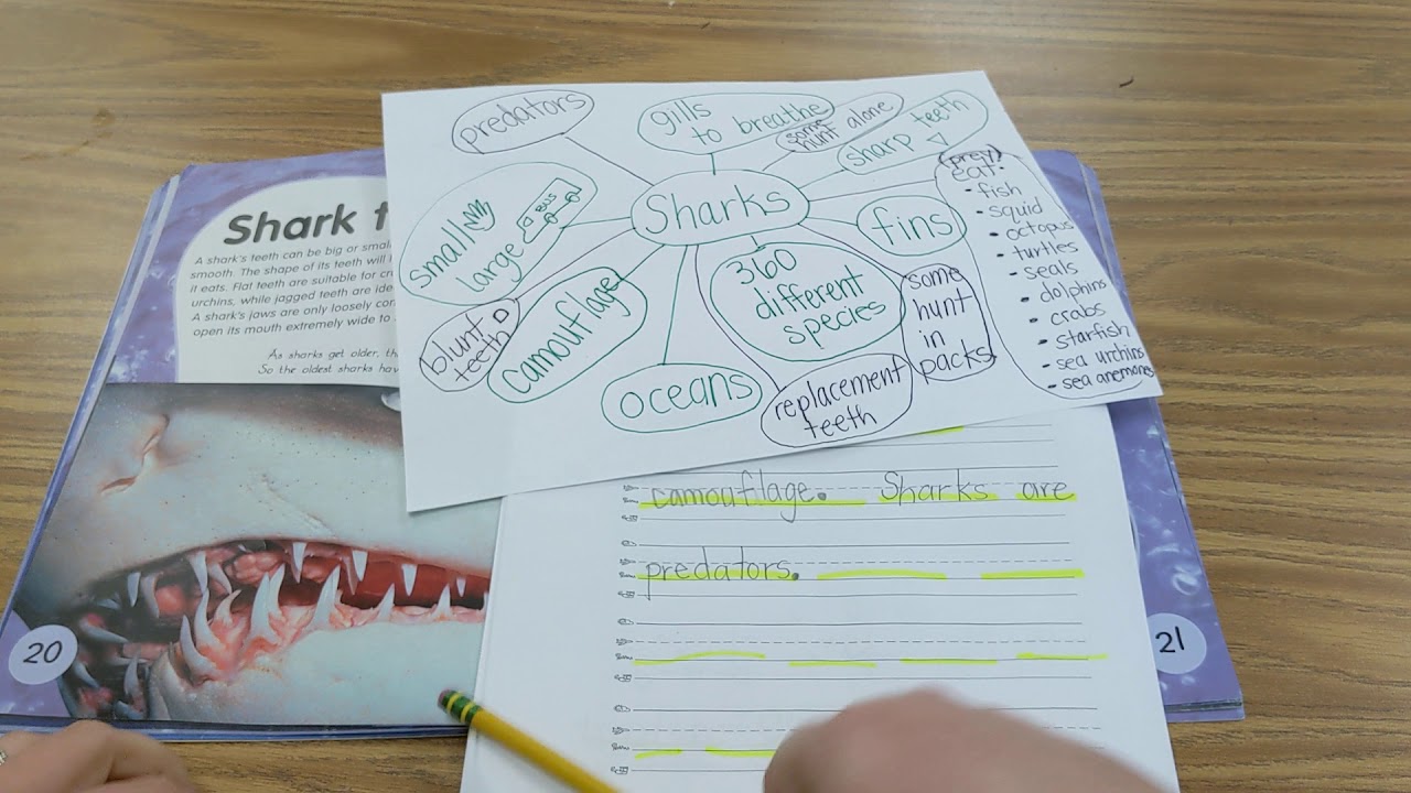Shark Fact Writing Day 2 - YouTube