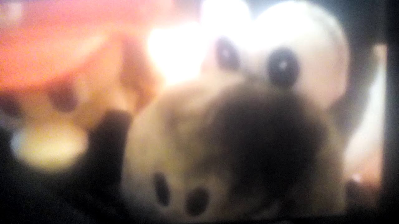 SML Movie: How To Save Princess Peach, The Black Yoshi Way? Reaction ...