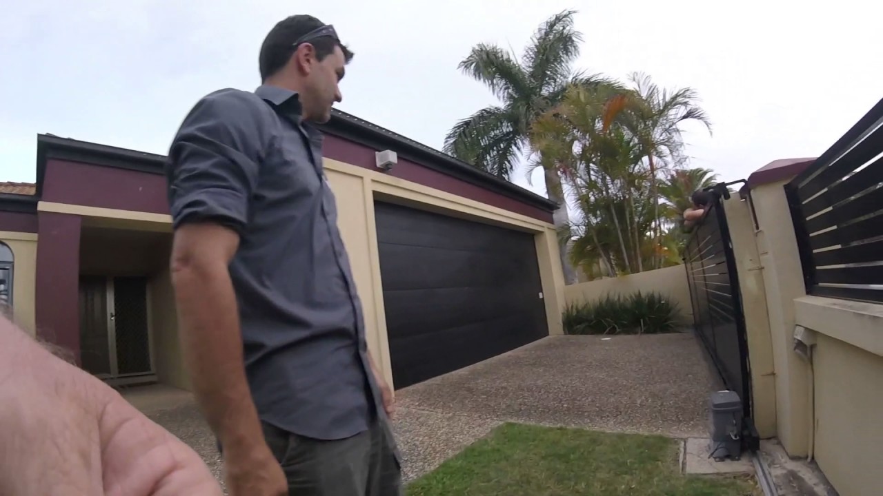 red belly black snake in robina - YouTube