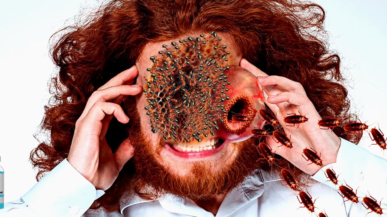 ASMR Animation treatment from infected maggot Face | 2D Animation Deep ...