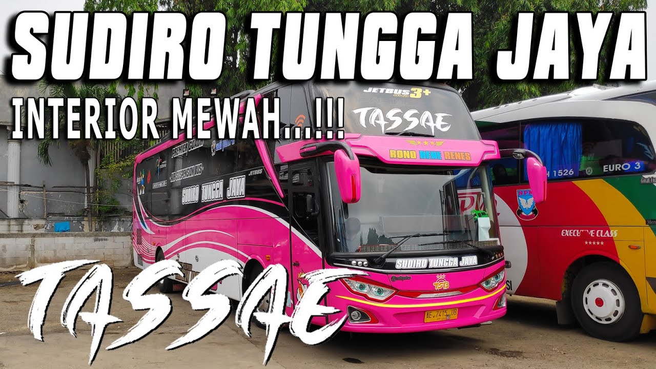 BUS SUDIRO TUNGGA JAYA TASSAE - MILIK PO TRANS SABA (INTERIOR MEWAH ...