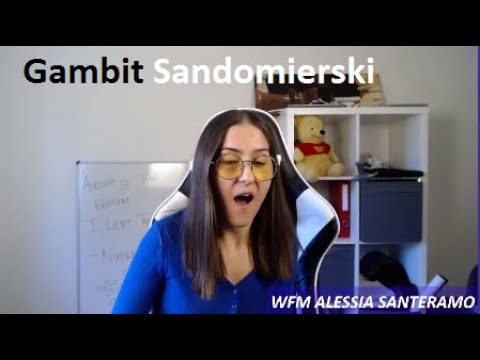 Gambit Sandomierski ALESSIA SANTERAMO vs POLAK - YouTube