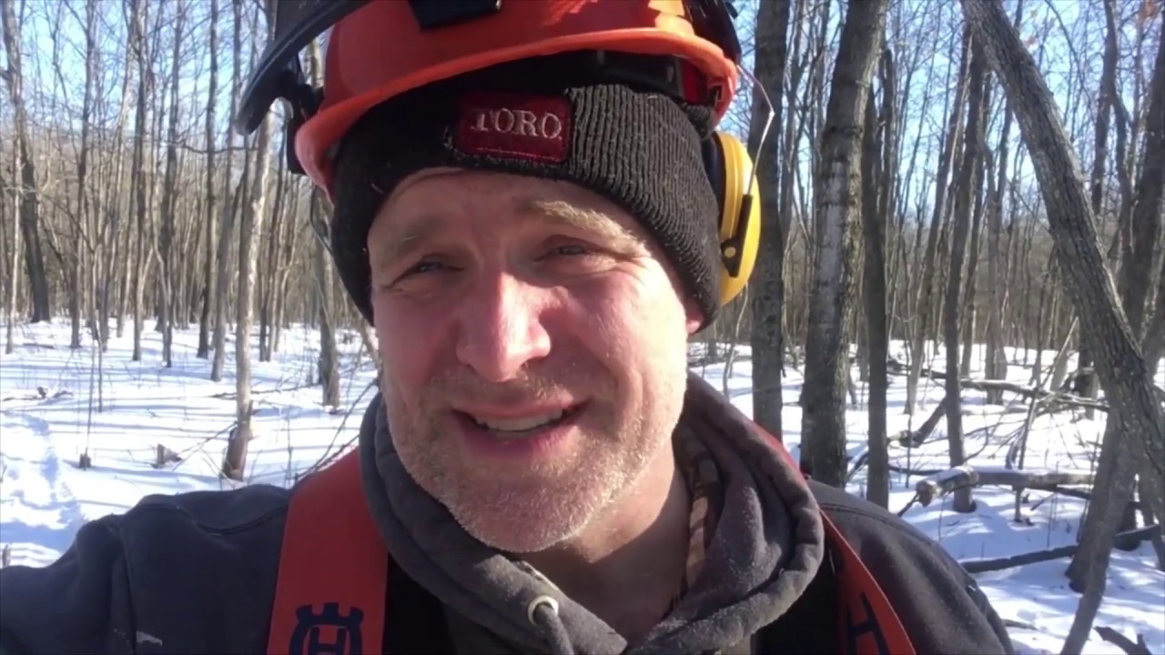 Field test on Three Princess auto /Harbour freight chainsaw sharpeners ...