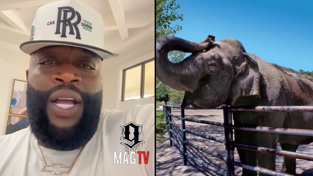 Rick Ross Plans To Apply For His Zoo License To Raise Elephants At The ...