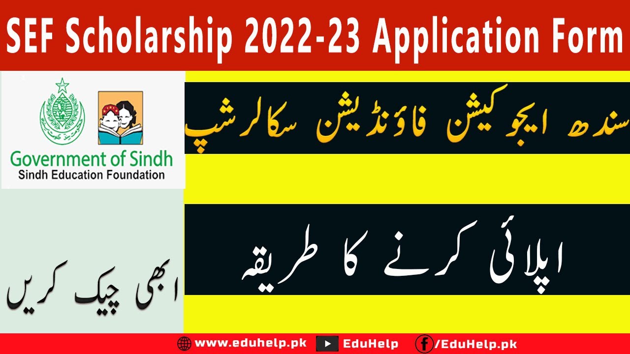 SEF Scholarship 2022 23 Application Form - YouTube