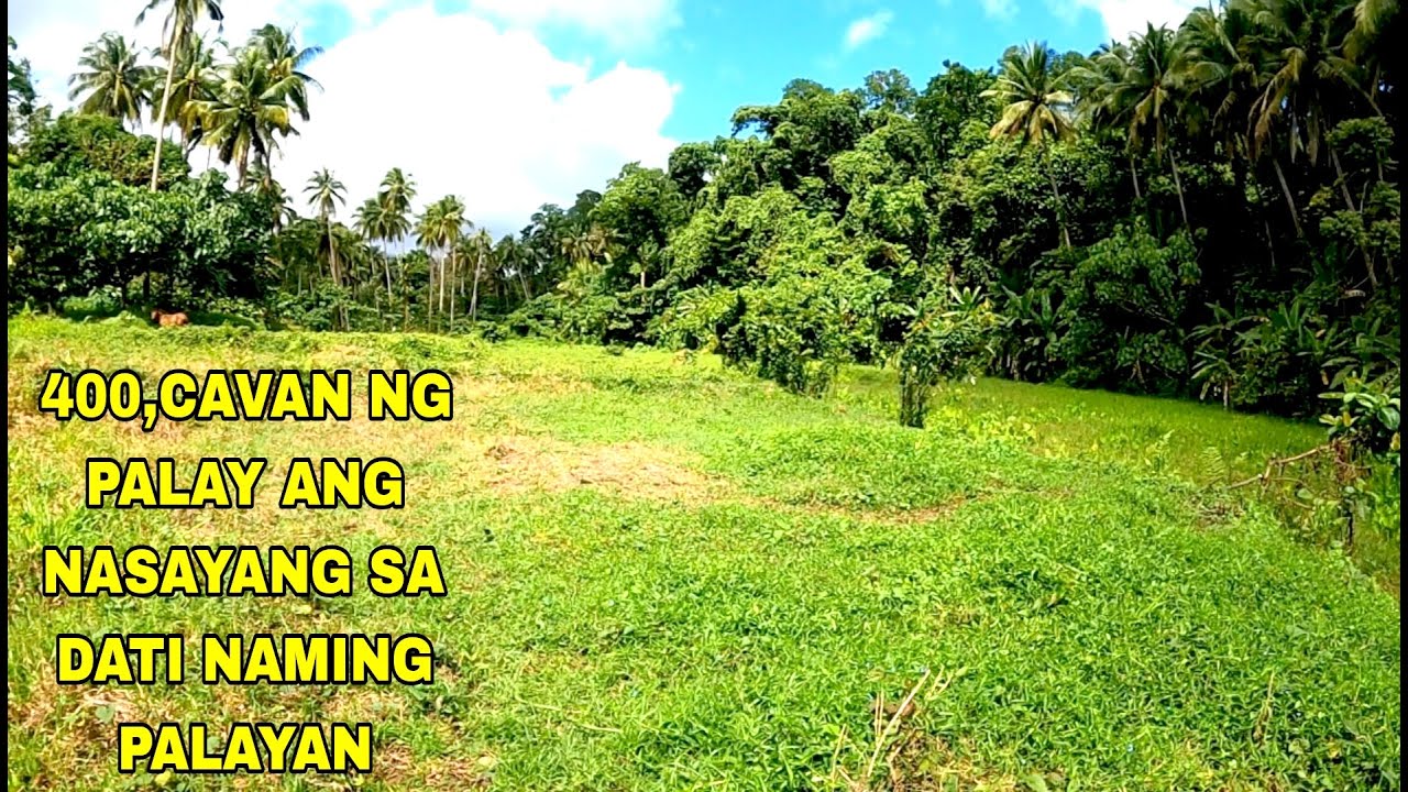 PAGBISITA SA PALAYAN NA ILANG TAON NG HINDI NATATANIMAN - YouTube