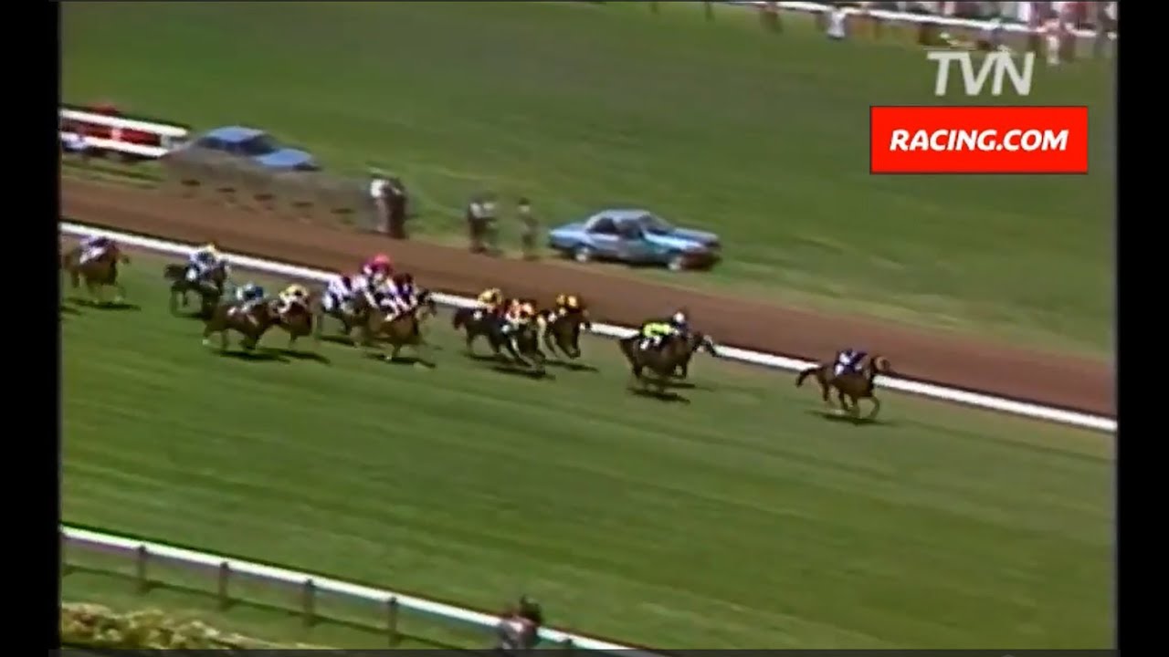 1981 MELBOURNE CUP JUST A DASH - YouTube