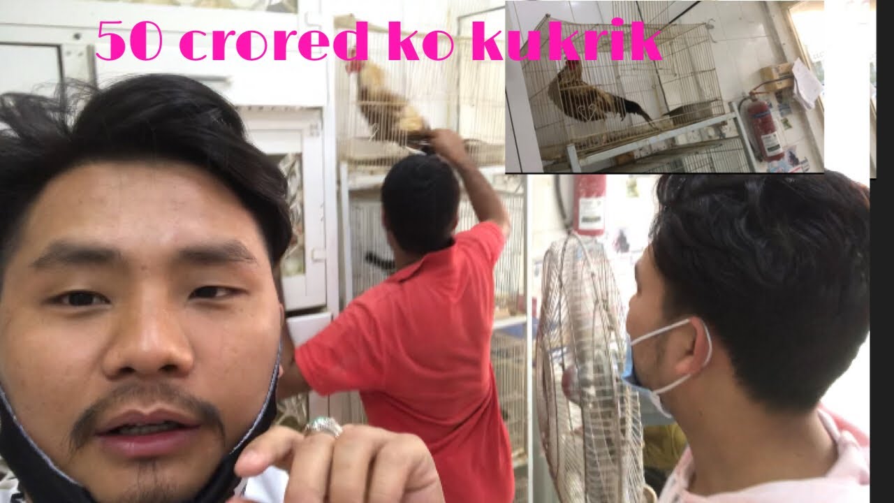 Kukrik mahango vayax guys - YouTube