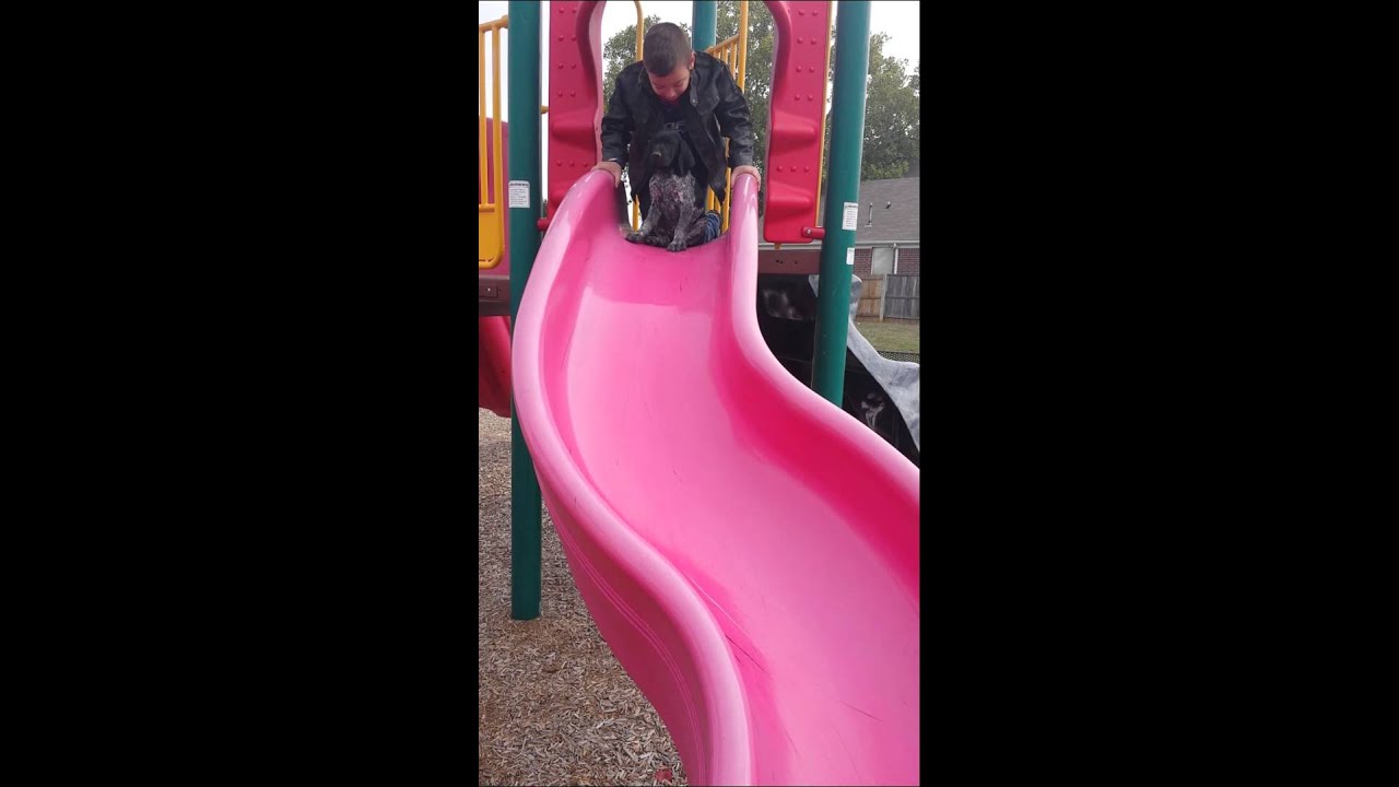 Puppy slides on slide - YouTube