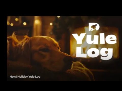 DOG TV Cozy Holiday Yule Log with Relaxing Dogs by the Fireplace | 6 ...