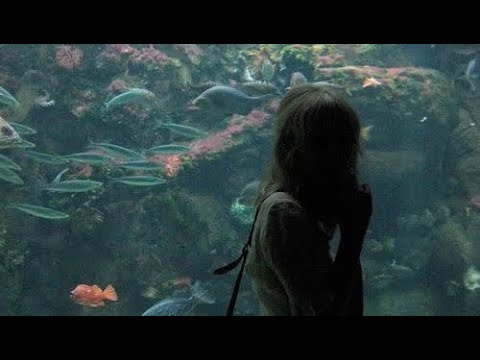 beauty gifted by mermaid’s • mermaid magic 01 ༉‧₊˚. - YouTube
