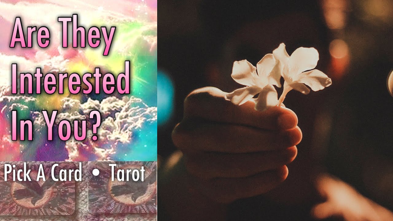 Are They Interested In You? | PICK A CARD | Tarot Reading - YouTube