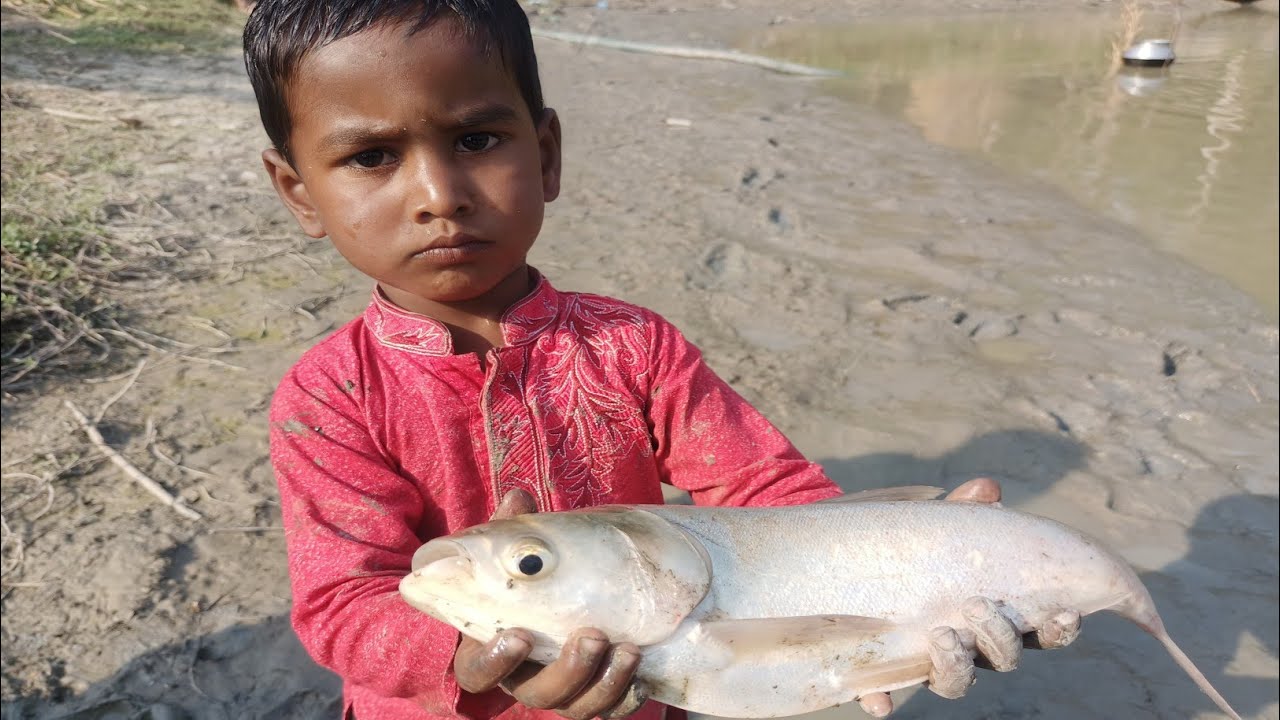 amazing net fishing - fish catching by machhali wala - fish catching ...