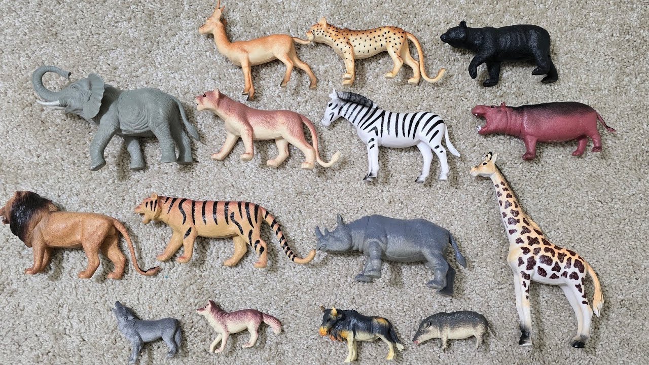 Animals for toddlers and kids #toddlerlearning #preschool #animals # ...