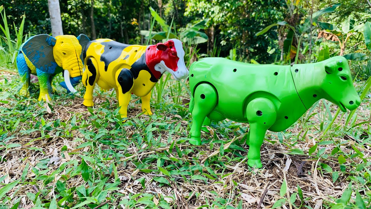 Mencari dan Merakit Kepala Sapi Moo, Sapi Lucu, Sapi Warna Warni, Gajah ...