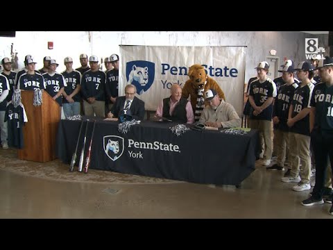 Penn State York baseball will call WellSpan Park home for next 3 years ...
