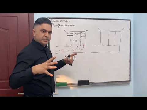 Quşlarda ikiqat tənəffüs.                                   #keşfet #fyp #biology #biologia
