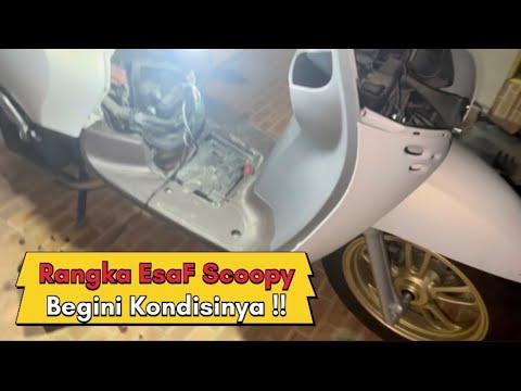 Cek Rangka Esaf Scoopy 2021 - YouTube