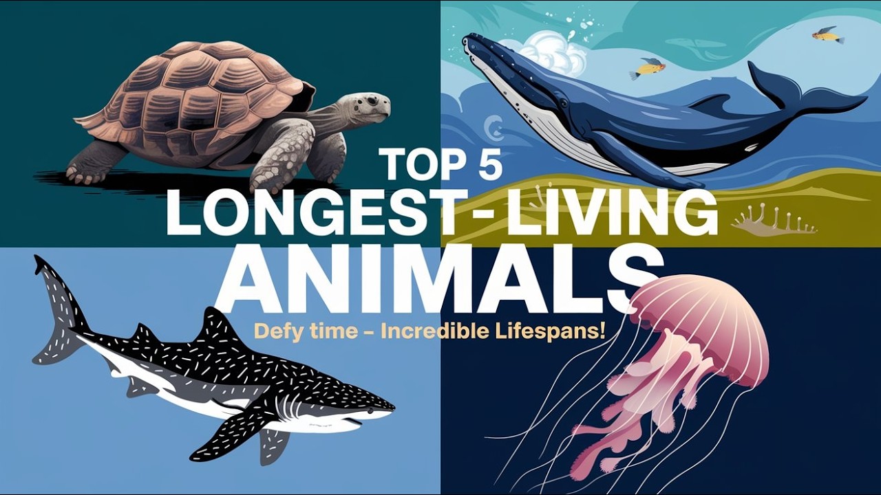 TOP 5 Longest Living Animals on Earth That Defy Time Discover Their ...