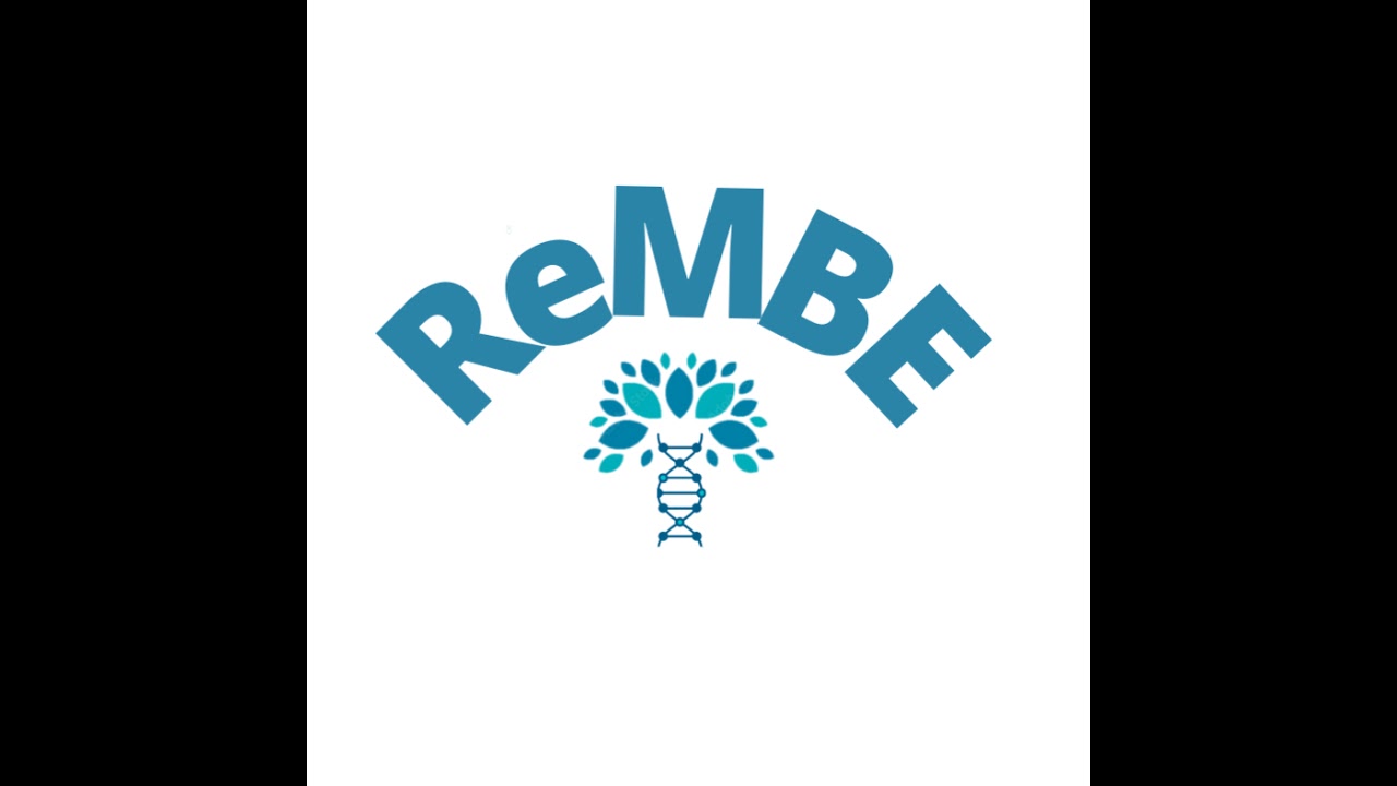 'Agencia', 'propósito', 'teleonomía' en algunas investigaciones post ...