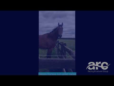 Virtual Yorkshire Open Day - Roger Fell Racing - YouTube